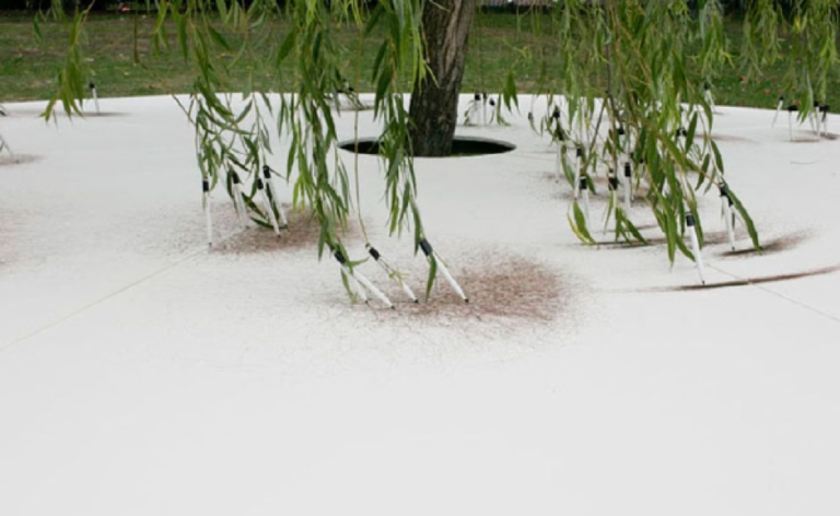 Tim Knowles – Deze boom kan tekenen – Arts ️Sciences